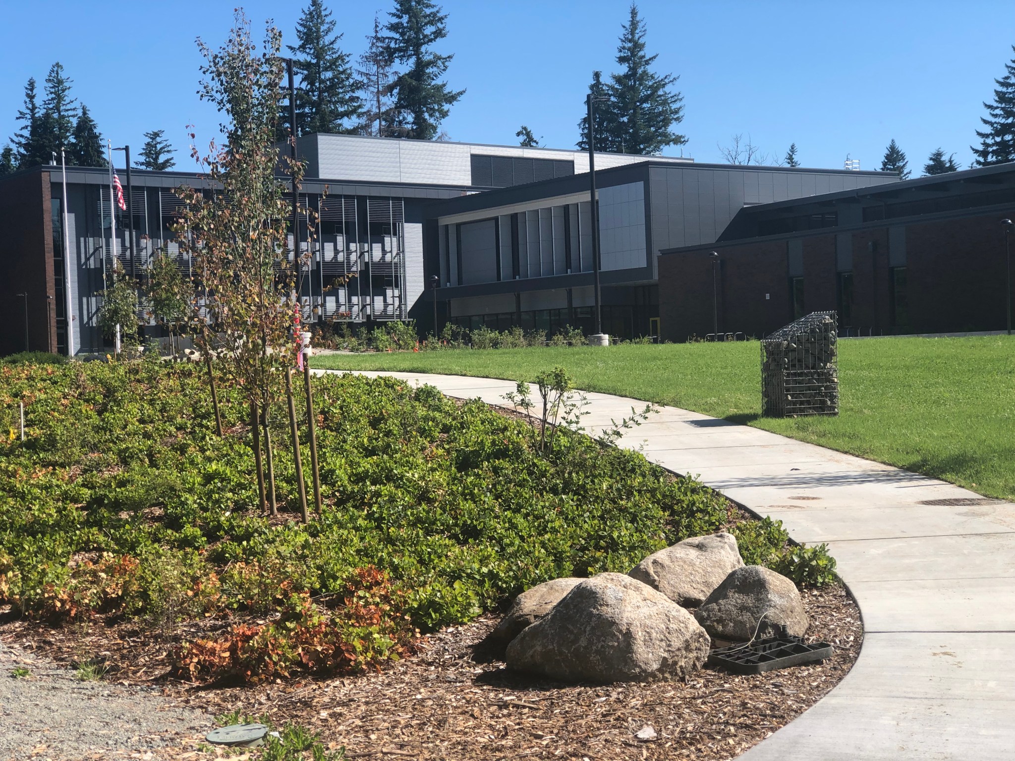 Services – Specialized Landscaping Inc.